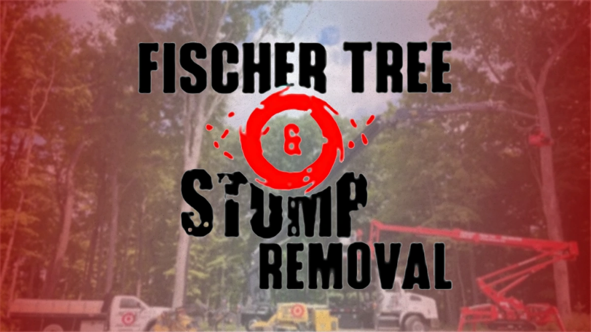 Tree Company Morton, IL | | Fischer Tree & Stump Removal, LLC