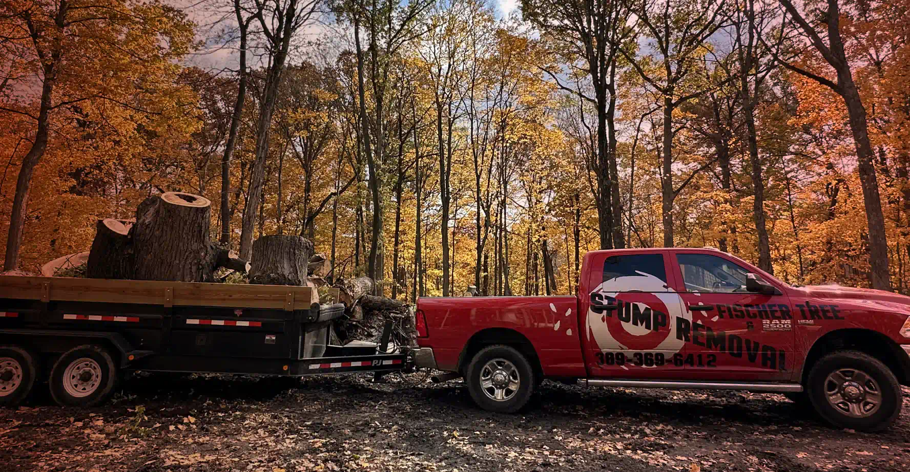 Tree Company Morton, IL | | Fischer Tree & Stump Removal, LLC