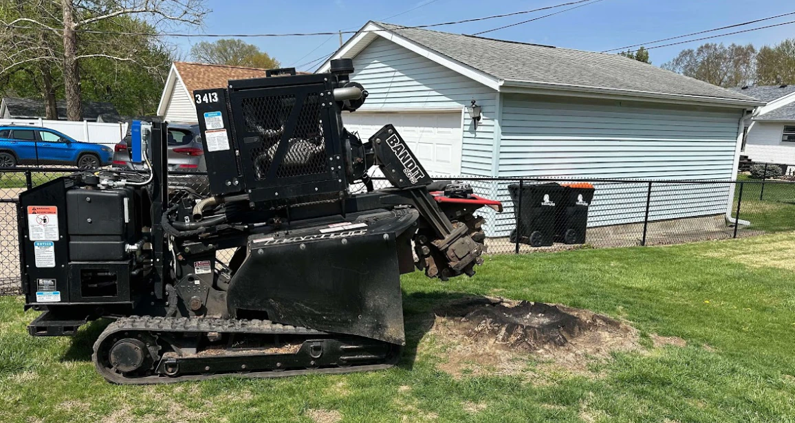 Tree Removal and Stump Grinding Morton, IL | Fischer Tree & Stump ...